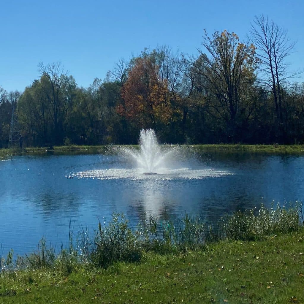 Olympus Floating Fountain 1 HP | Pond Perfections