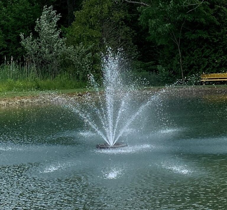 Picking the Perfect Fountain - Pond Perfections