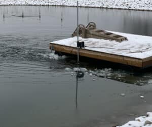 Ice Eater - Pond Perfections