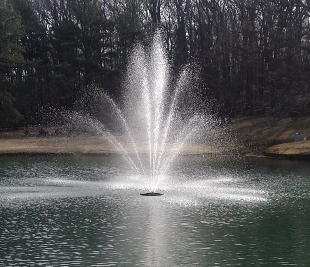 Picking the Perfect Fountain - Pond Perfections