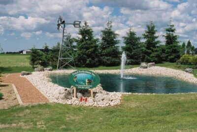 Pond Aeration Experts Installation & Repairs | Pond Perfections