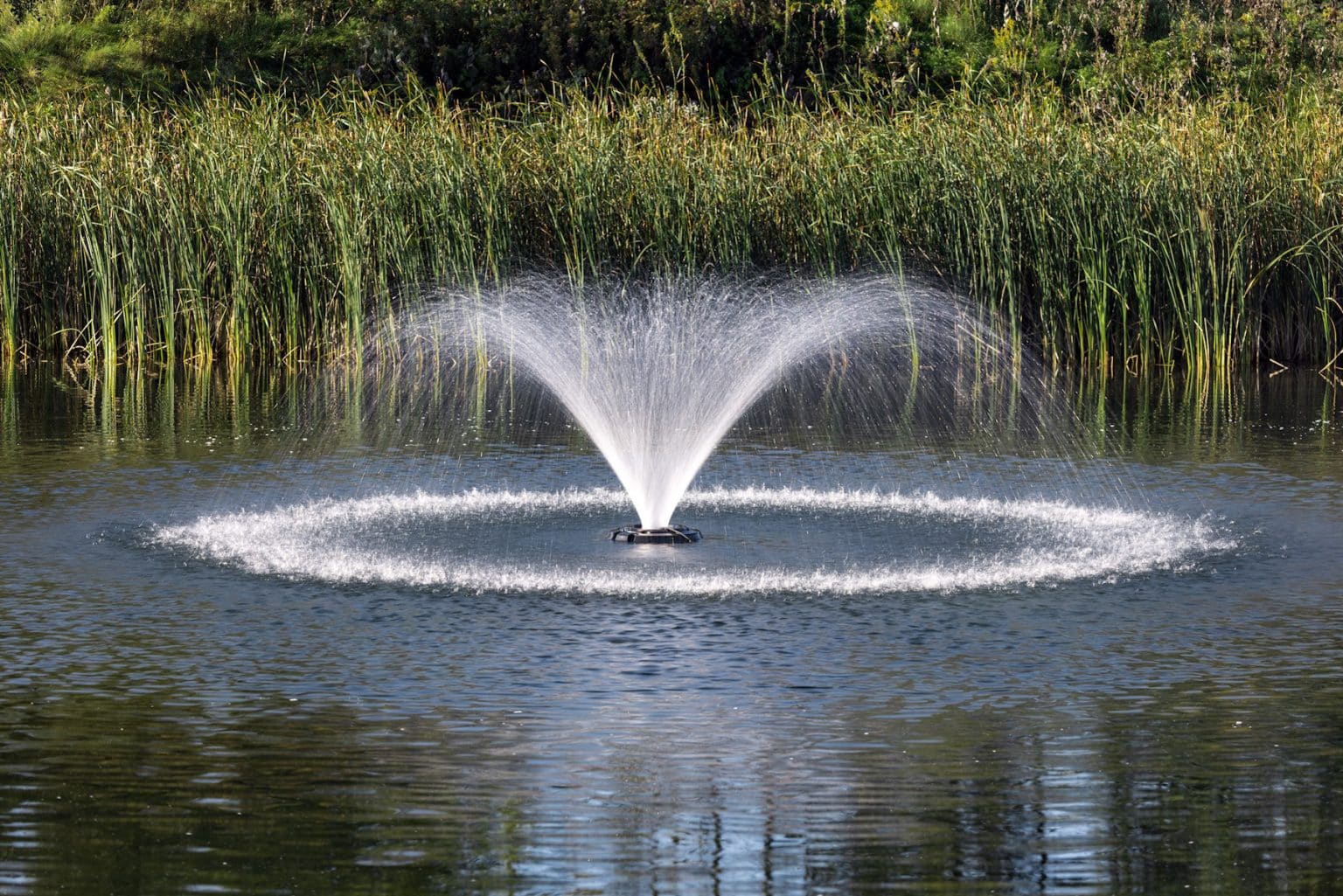 Kasco 4400VFX Aerating Fountain - Pond Perfections