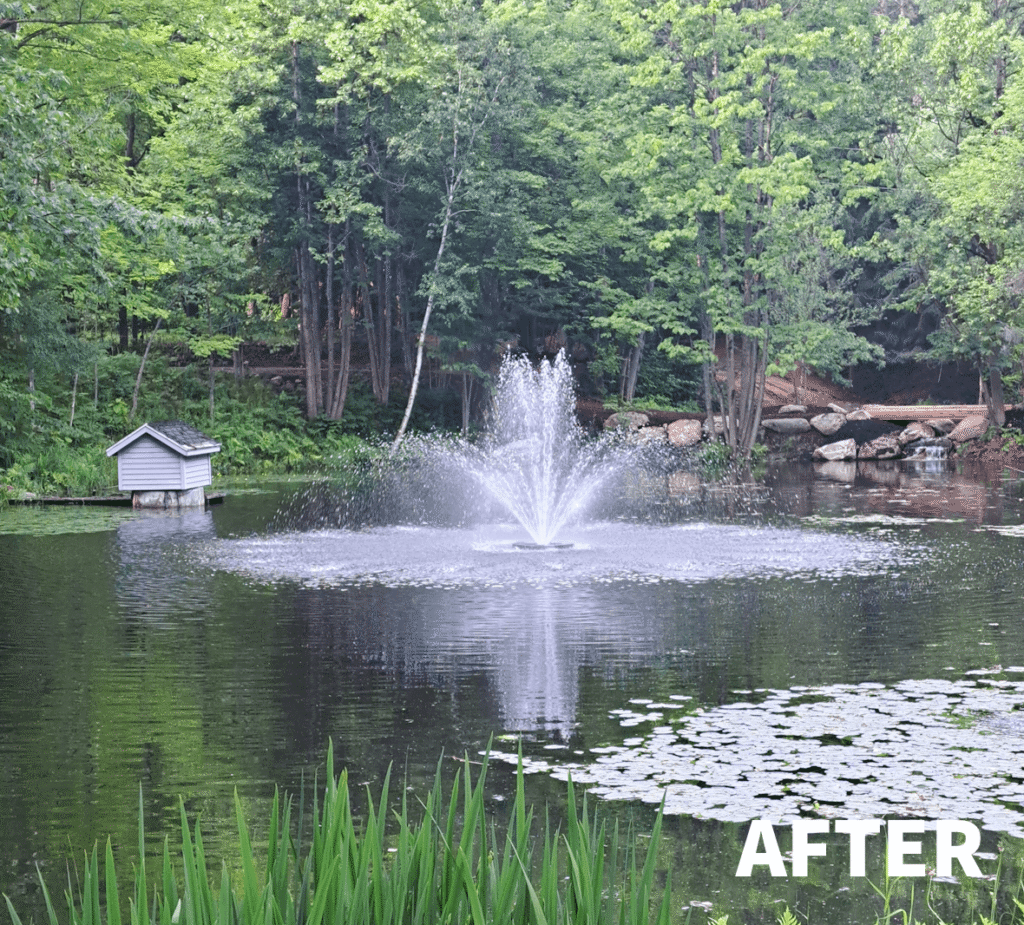 Home Live | Pond Perfections